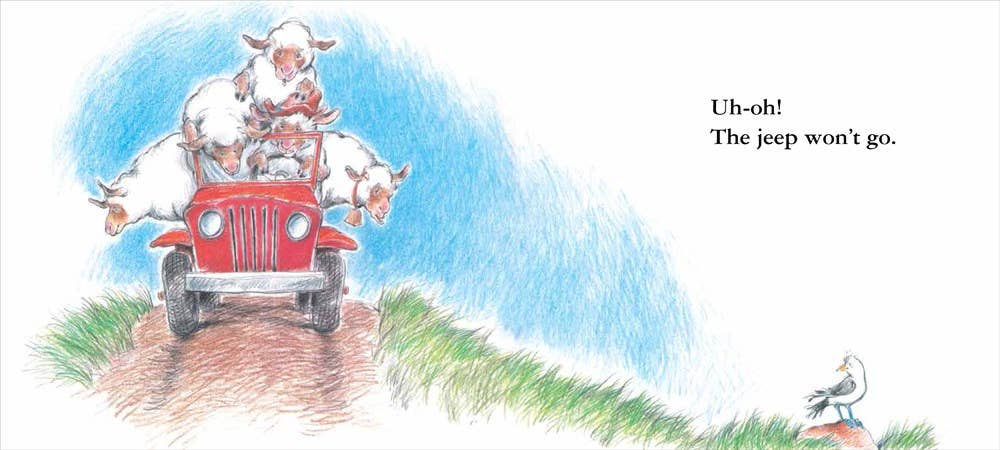 Book - Sheep in a Jeep Board Book – Amanda Radke