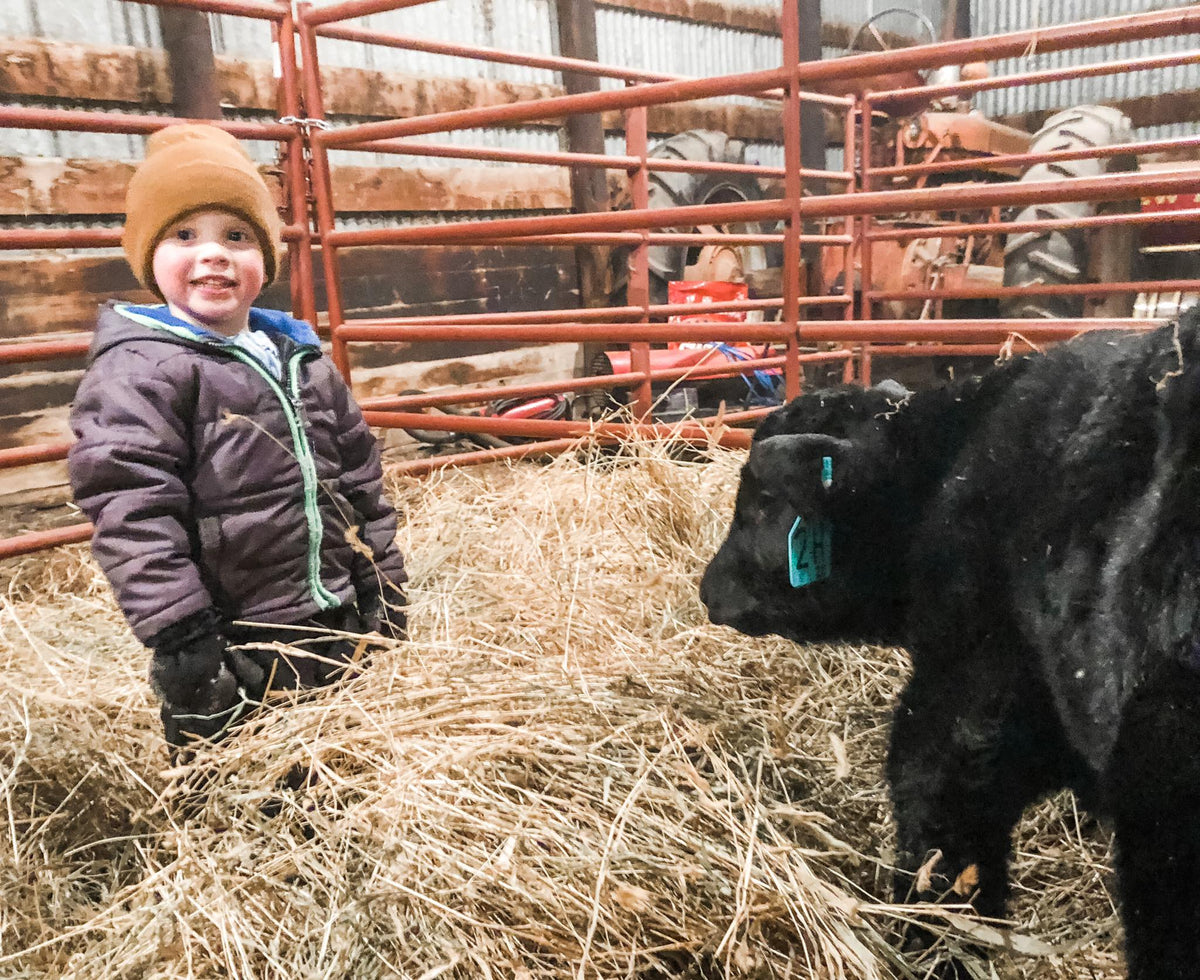 Sharing the Joys & Challenges of Ag with the World – Amanda Radke