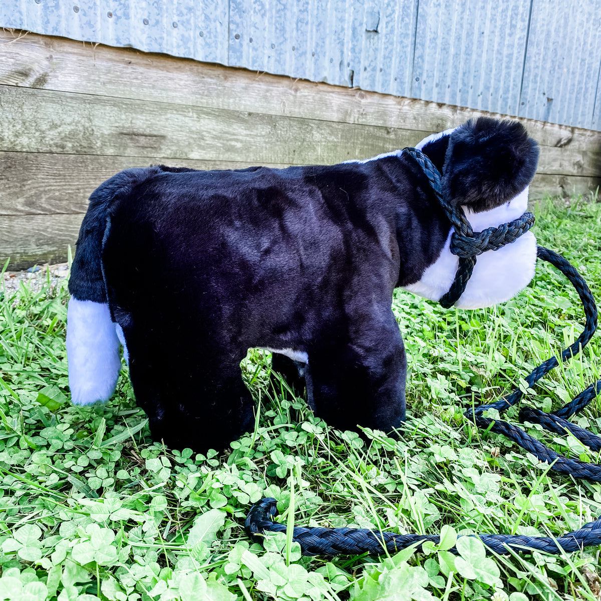 FARM TOY - American-Made Plush Show Calf (6 Colors) – Amanda Radke