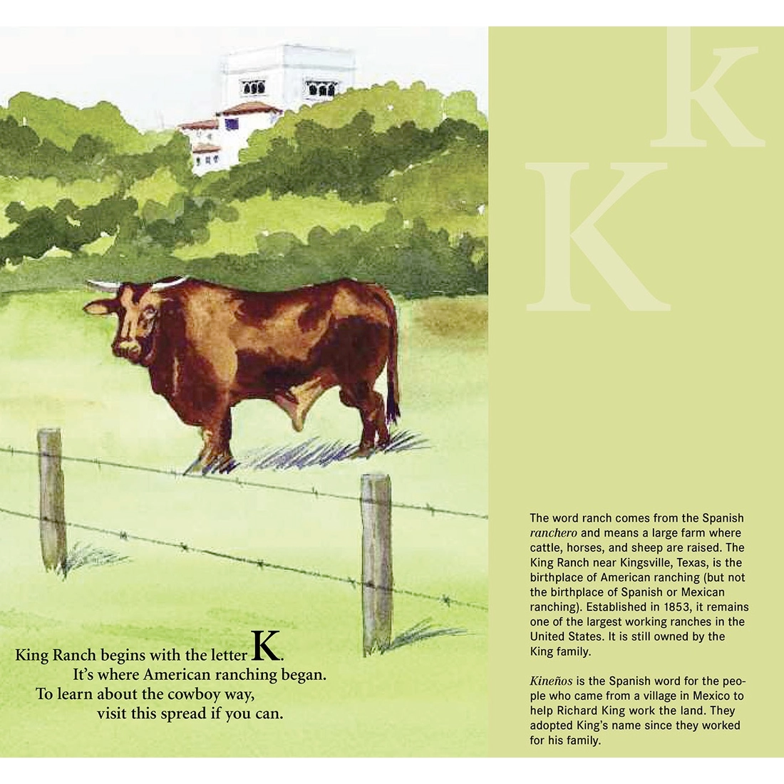 Book - "B is for Buckaroo: A Cowboy Alphabet" – Amanda Radke