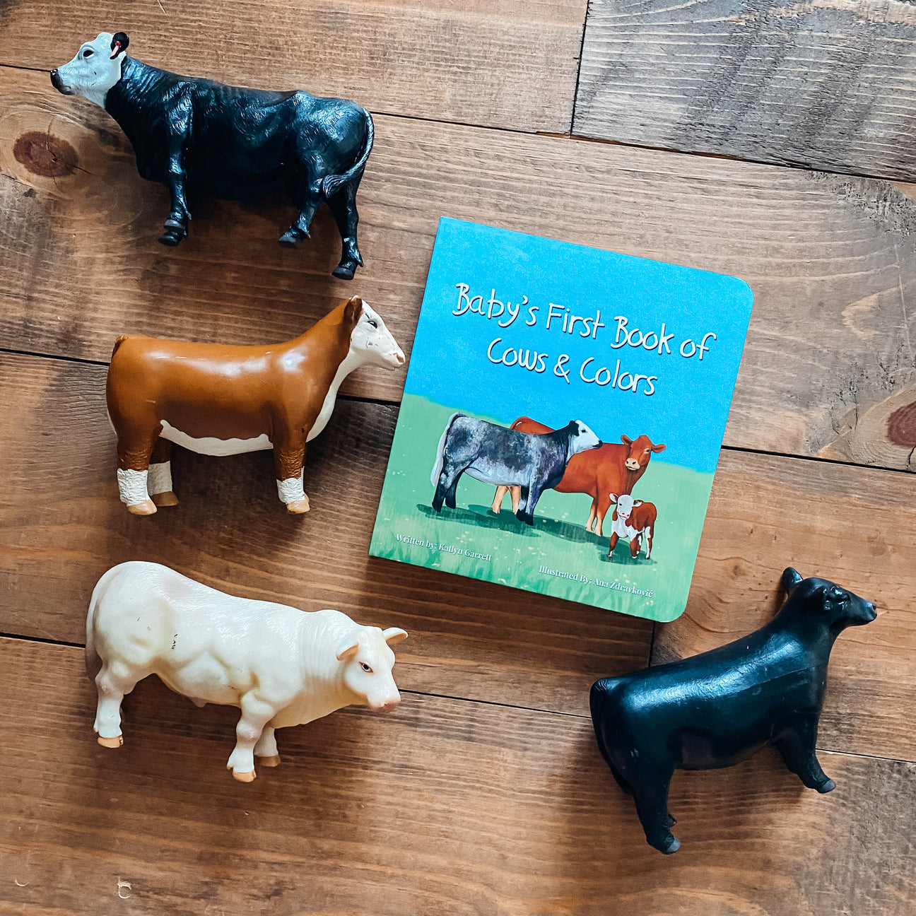 Board Book - Baby's First Book of Cows & Colors – Amanda Radke