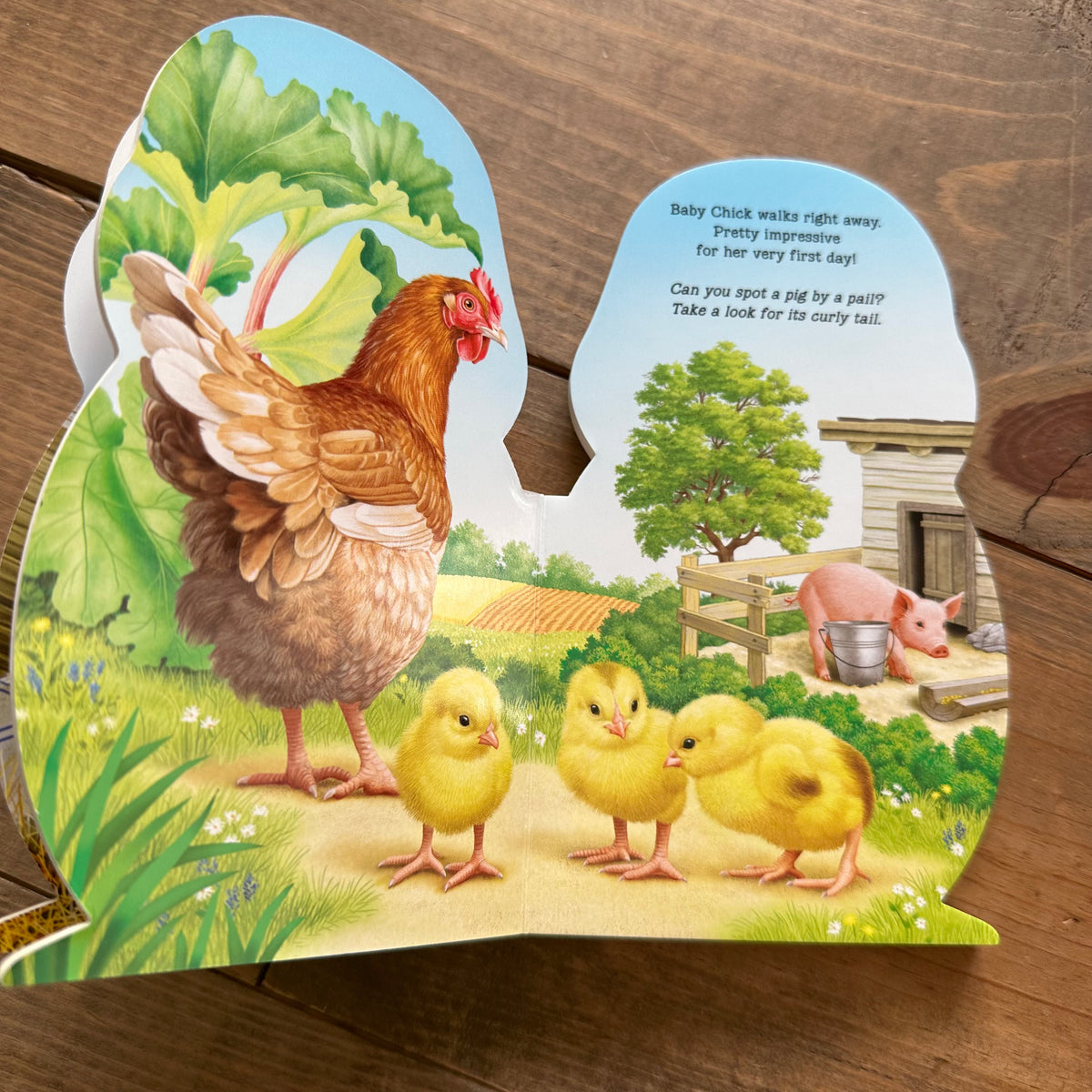 Book - Furry Chick – Amanda Radke