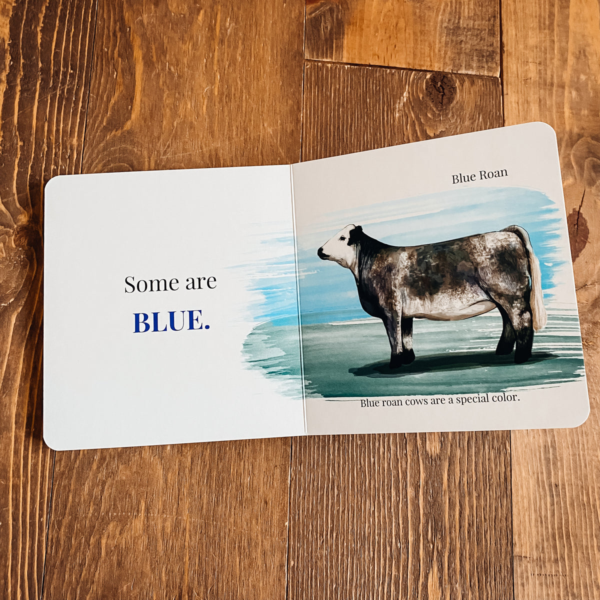 Board Book - Baby's First Book of Cows & Colors – Amanda Radke
