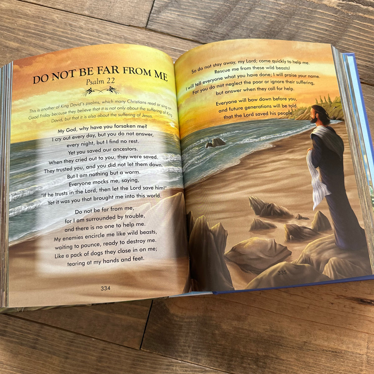 Book - The Complete Illustrated Children's Bible – Amanda Radke